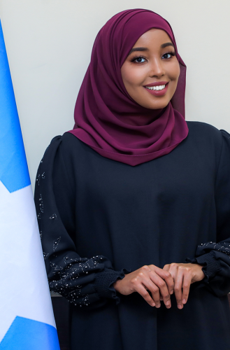 The Directors of Departments – The Ministry of Interior, Federal ...